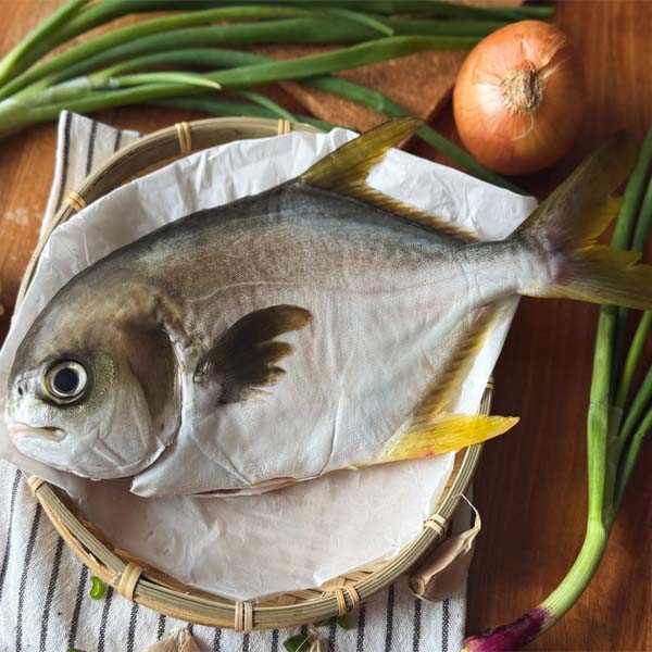 Golden pomfret (per kg) – Fish Port
